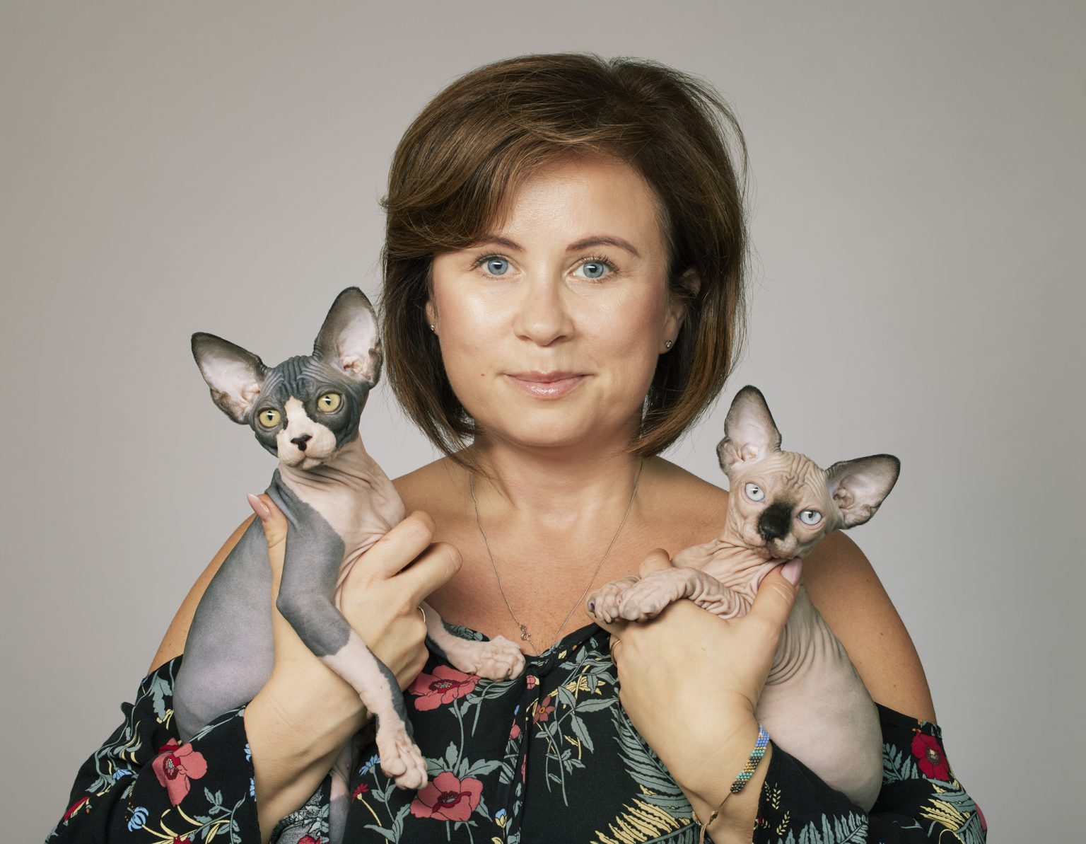 Sphynx Breeder List, all Ethical Sphynx Breeders in one place. - Sphynx ...